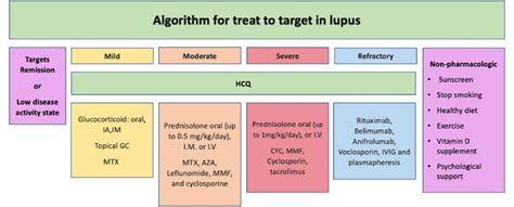 Algorithm For The Outlines Of Treat To Target In Lupus Patients Download Scientific Diagram