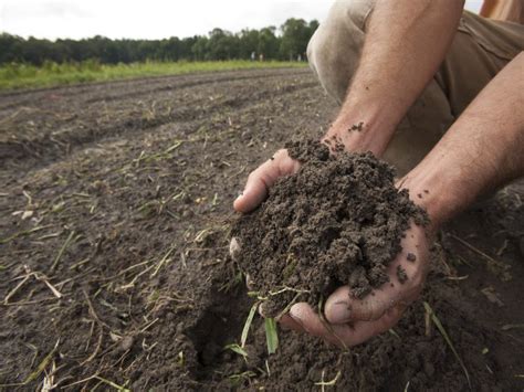 SCIENTIFIC VASTU SITE SOIL ARCHITECTURE IDEAS