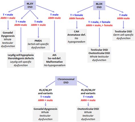 Frontiers Male Hypogonadism And Disorders Of Sex Development