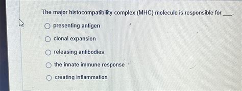 Solved The Major Histocompatibility Complex Mhc ﻿molecule