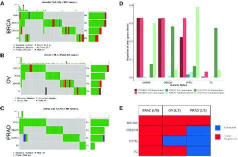 Driver Gene Discovery In Patients With No Alterations In Cosmic Genes