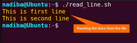 Different Loops With If Statements In Bash 5 Examples Linuxsimply