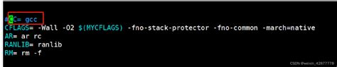 对lua进行模糊测试及问题记录looks Like The Target Binary Is Not Instrumented Csdn博客
