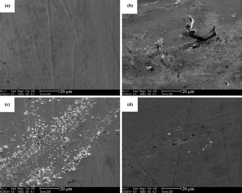 Variation Of Surface Morphology Of The Tungsten Samples Under Different Download Scientific