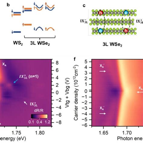 Doping Dependent Reflectance Contrast Spectra Of 3l Wse2 1l Ws2 And Download Scientific