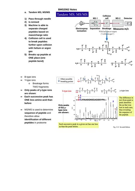 Bms2062 Complete Unit Notes Summary Great For Eos Exam Bms2062 Introduction To