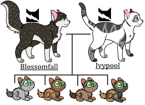Blossomfall And Ivypools Kits By Warrior Spaceranger On Deviantart