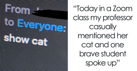 30 Adorable And Funny Posts From The Cats On Catnip Facebook Account