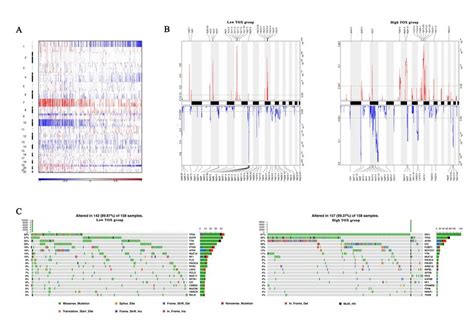 Distinct Genomic Profiles Associated With Tox Expression A The