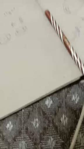 How Many Geometrical Isomers Are Possible For Filo