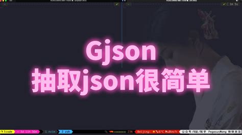 golang用gjson快速抽取json数据 youtube