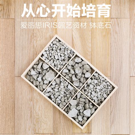爱丽思钵底石家庭园艺花土搭配石头花卉铺面垫底石排水透气爱丽丝 虎窝淘