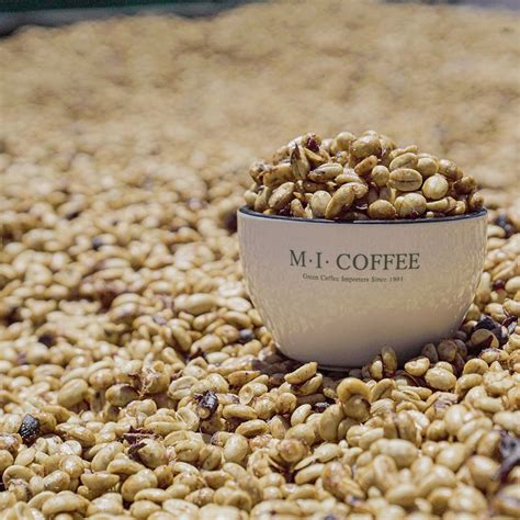 Mi Coffee Corp Minotice 코스타리카 마이크로랏 11종 입고 ⠀⠀⠀⠀⠀⠀⠀⠀⠀⠀⠀⠀⠀⠀⠀⠀ 선명한 과일의 향미와 상큼함으로 브루잉커피로
