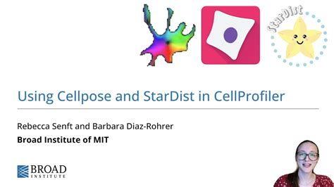 Quantification Of Ki67 Nuclei For Proliferation Analysis Image