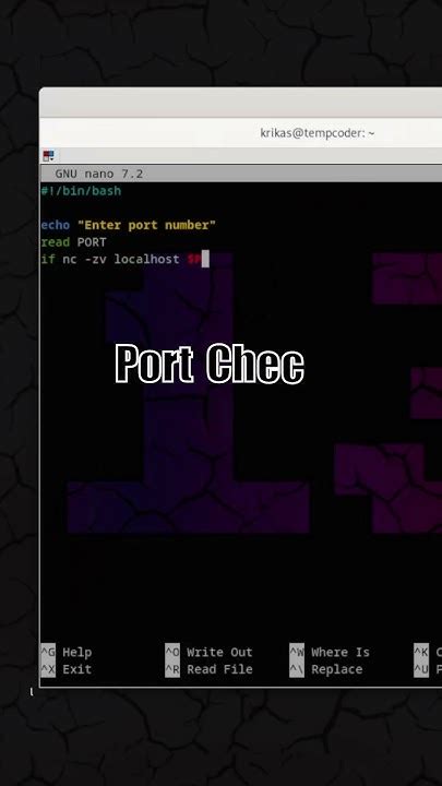 Basic Bash Scripting Check If Port Is Open Begginers Bash Bashscripting Sysadmin