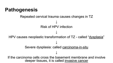 Female Genital System Fibroid Cervical Cancer Endometrial Cancer Choriocarcinoma Pathology