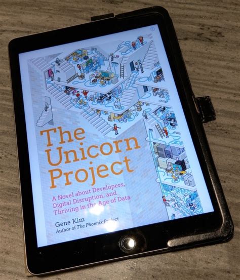 The Unicorn Project Cceta