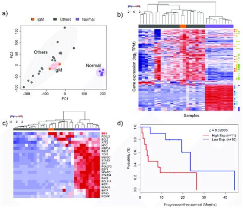 Clustering Of Gene Expression Profiles And Heat Map For Specific Gene