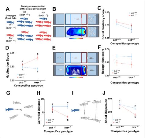 Genetic Variation In The Social Environment Affects Zebrafish Social