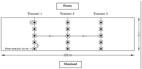 The Sample Collection Technique Used 3 Line Transect With 5 Plots 25 M Download Scientific