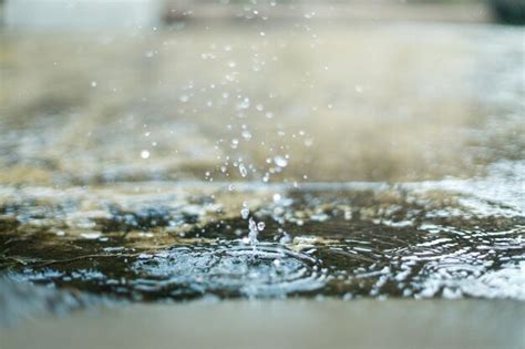 Premium Photo Raindrops Hitting Puddles On A Rainy Day
