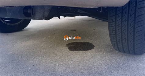 Oli Netes Di Bawah Mesin Mobil Id