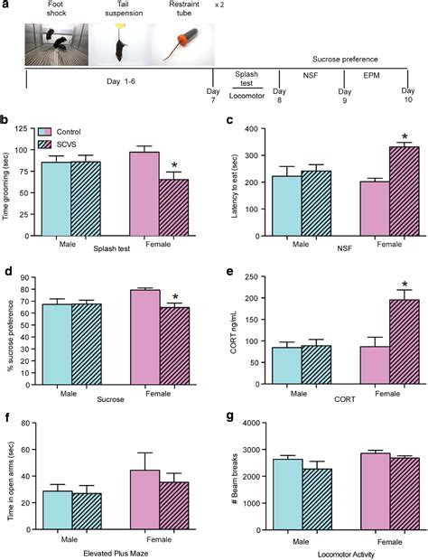 Figure 1 From Sex Differences In Nucleus Accumbens Transcriptome