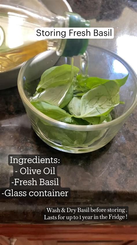 Storing Fresh Basil Artofit