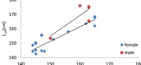 Figure R5 Sex Differences Of The Calculated And Measured Length Of Download Scientific Diagram