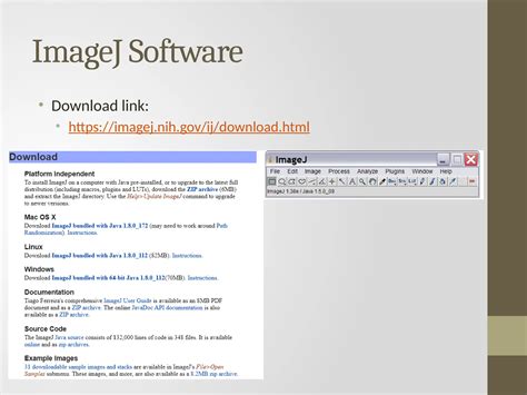 Introduction To Imagej Image Analysis New Pptx Photo Editing