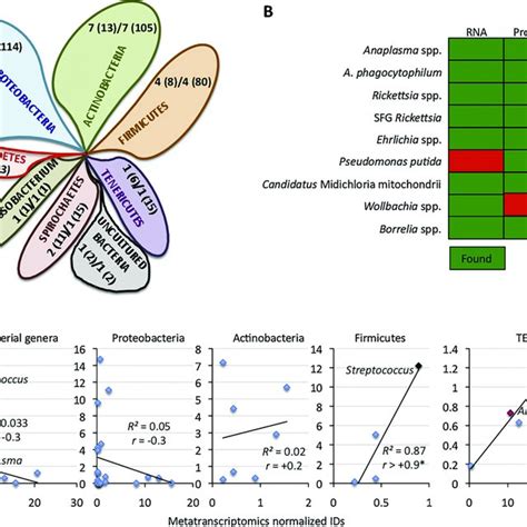 Pdf Integrated Metatranscriptomics And Metaproteomics For The Characterization Of Bacterial