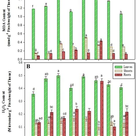 Effect Of Cdcl2 On Mda A And H2o2 B Content In Eruca Sativa Download Scientific Diagram