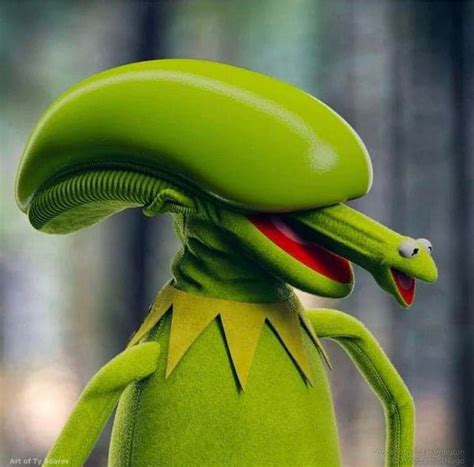 Xenofrog Album On Imgur