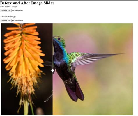 How To Create A Before And After Image Slider With Vanilla Javascript