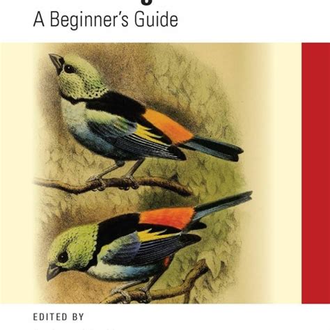 Stream Download Mastering Flutter A Beginners Guide From