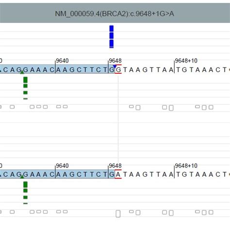 Alamut Tm Visual Plus Splicing Predictions Reference Wild Type And