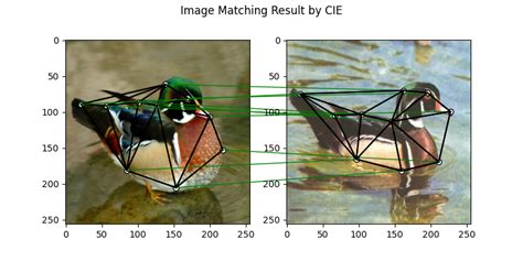 Paddle Backend Example Matching Image Keypoints By Graph Matching Neural Networks Pygmtools