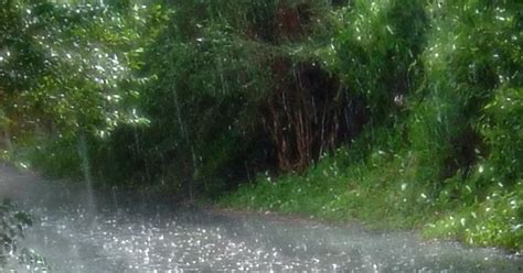 Environments Pack 1 Audio Ambient Unity Asset Store