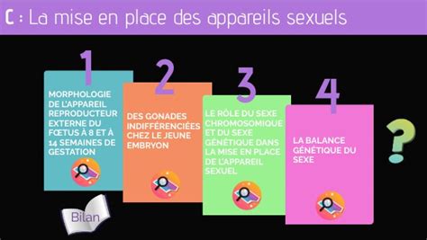 A Mise En Place Des App Sexuels Genially