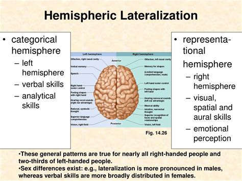 Ppt Intellectual And Behavioral Functions Powerpoint Presentation Free Download Id 6529921