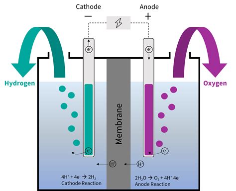 Electrolysis Diagram Electrolysis Labelled
