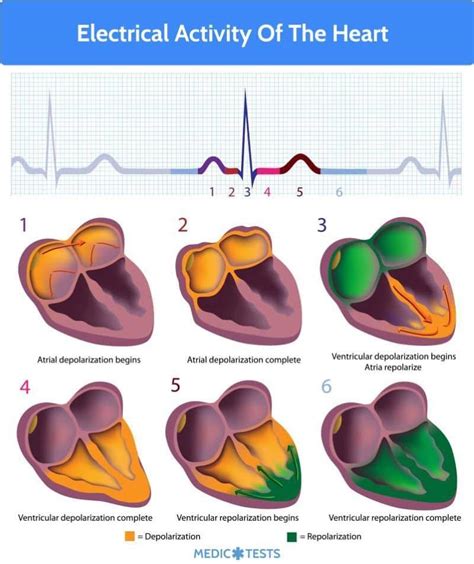 Medpic Medpic Added A New Photo