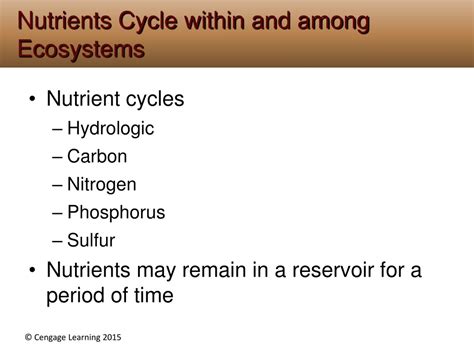 Ppt Ecosystems What Are They And How Do They Work Powerpoint