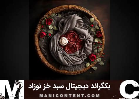 دانلود بک گراند دیجیتال آتلیه سبد چوبی خز طوسی خاکستری گلدار قرمز نوزاد مخصوص طراحی تدوین