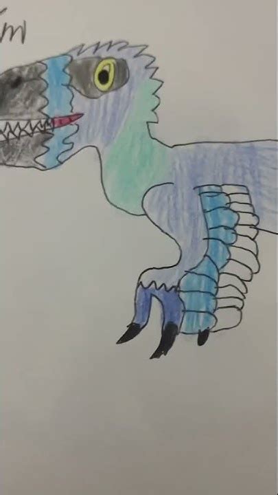 My Pectinodon Drawing Youtube