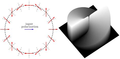 Left Illustration Of The Spatial Variation Of The Optical Axis Download Scientific Diagram