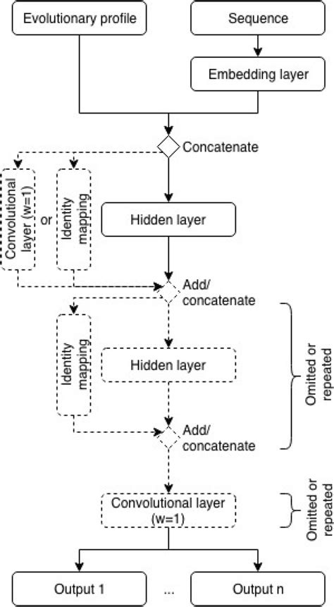 Overview Of The Neural Network Architecture The Embedding Layer Download Scientific Diagram