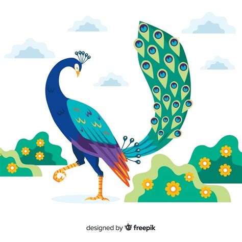 Peacock Animal Pet Vectors And Illustrations For Free Download Freepik