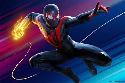 Spider Back 2k Wallpaper Download